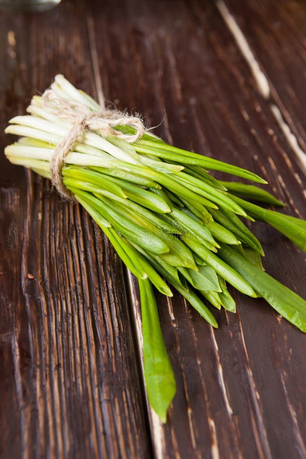 Bunch of Fresh Greens for Salad Stock Photo - Image of ingredient ...