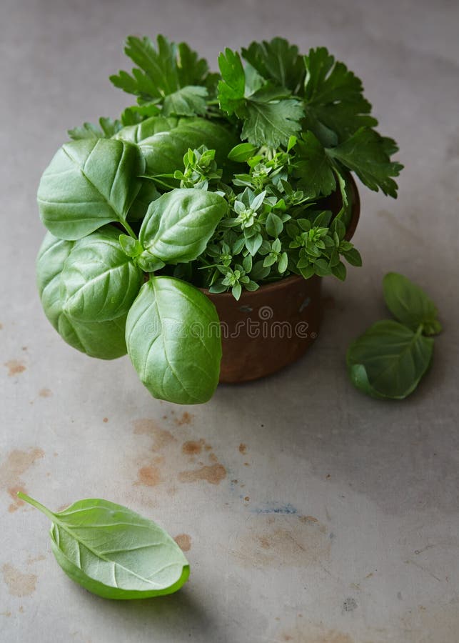 Bunch of Fresh Herbs in a Small Bowl Stock Photo - Image of basil ...