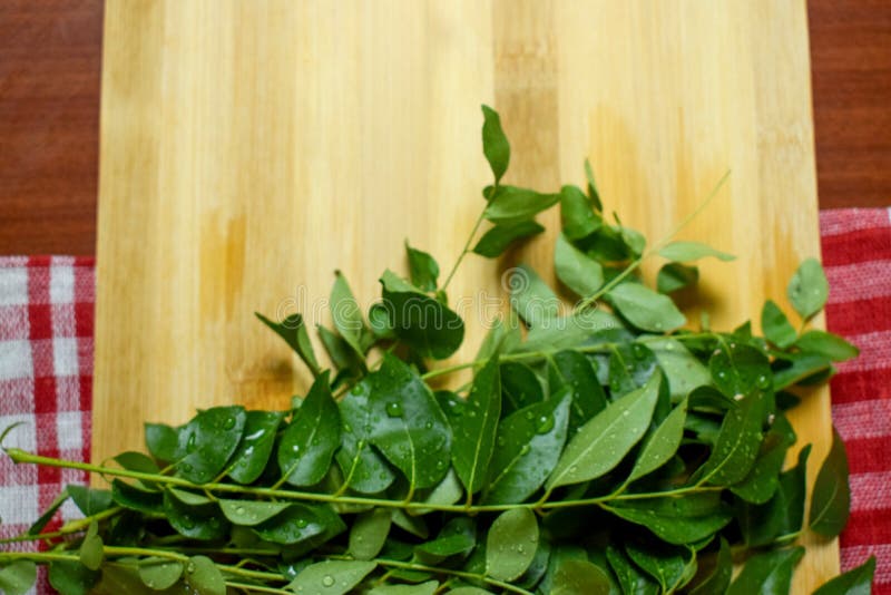 Bunch of Fresh Indian Curry Leaves / Curry Leaf on Wooden Background ...