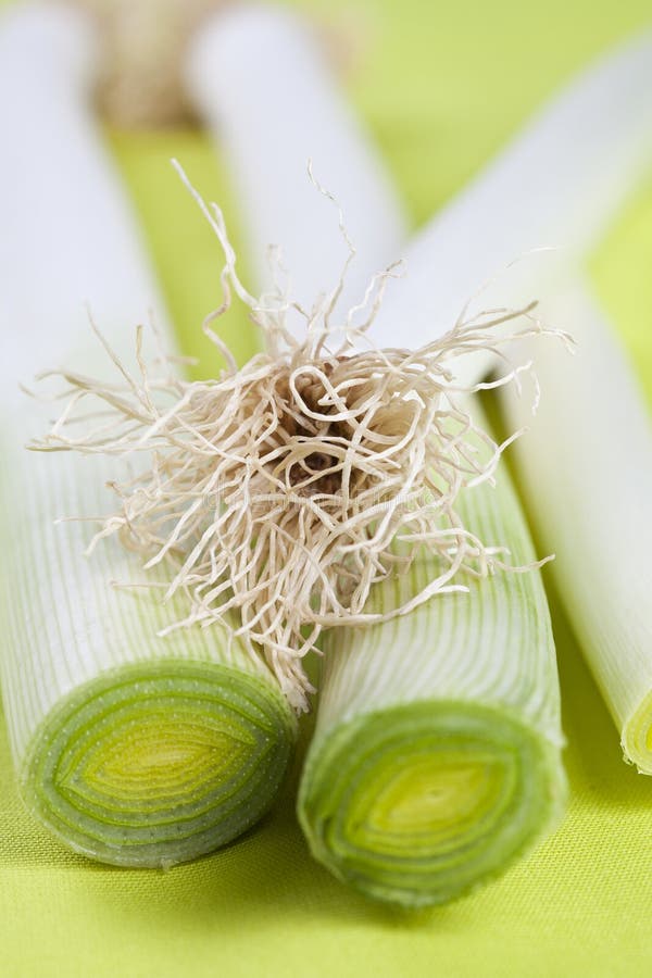 Bunch of fresh leeks stock image. Image of closeup, white - 22989351