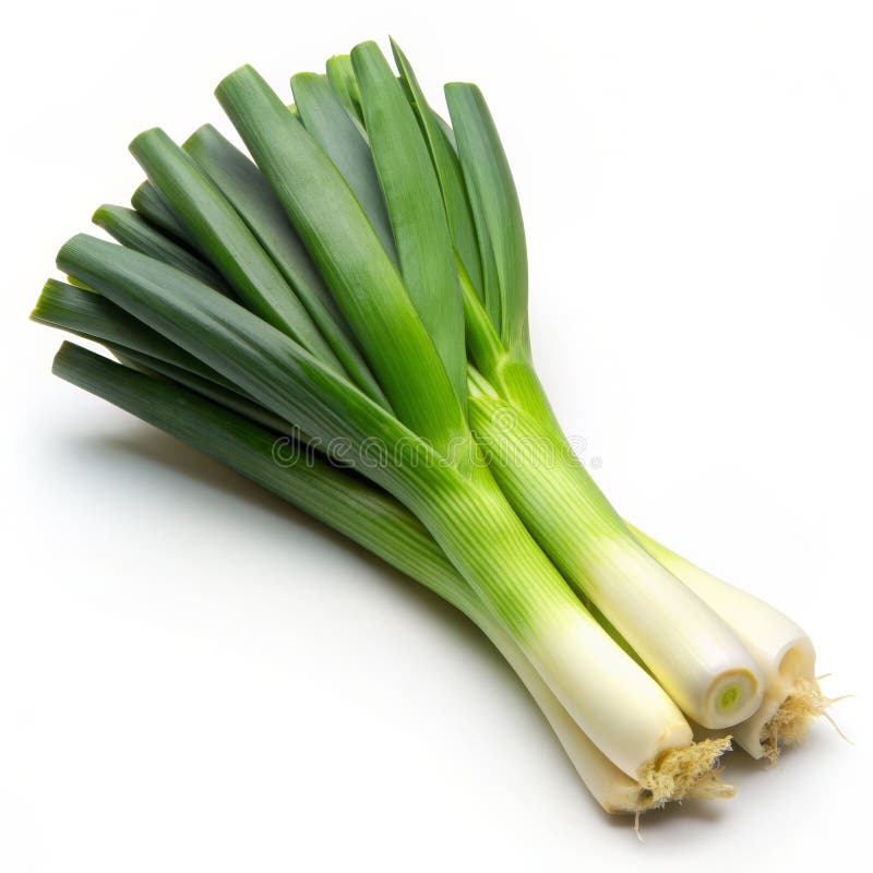 Bunch of Fresh Leeks Isolated on White Background Stock Illustration ...