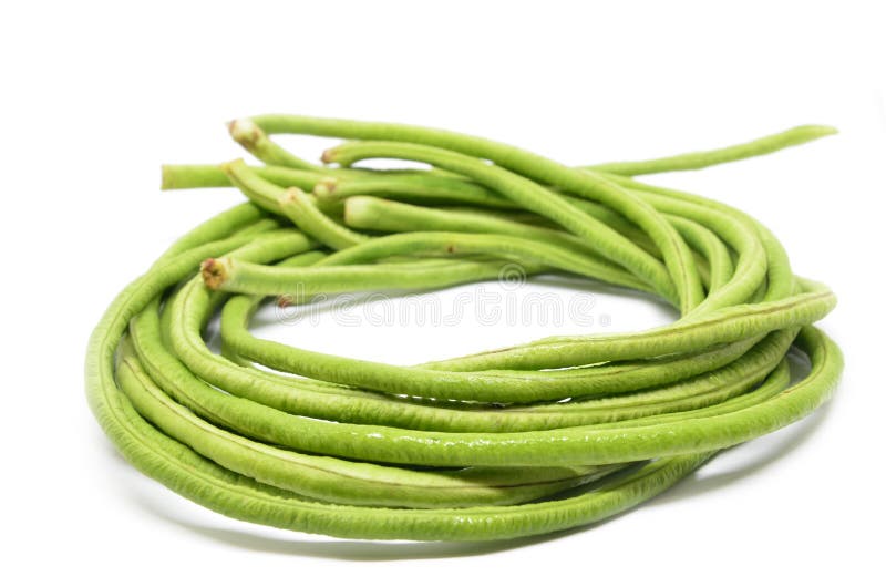 Bunch of fresh long bean stock image. Image of edible - 96249179