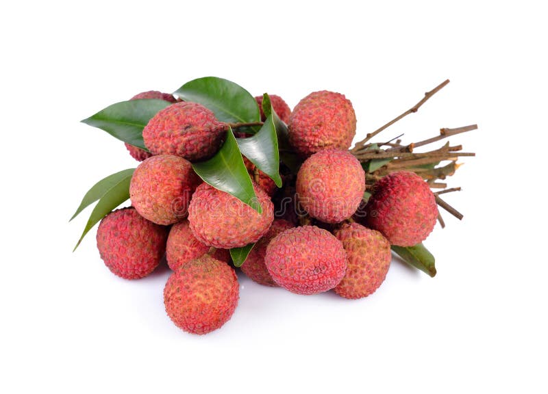Bunch of Fresh Lychees with Leaves and Stem on White Background Stock ...