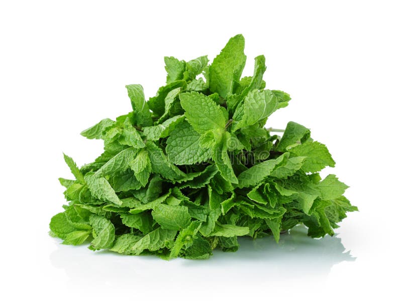 Bunch of fresh mint stock photo. Image of white, fresh - 43748650