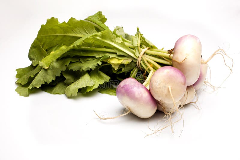 Bunch of Fresh New Turnip on White Background Stock Image - Image of ...