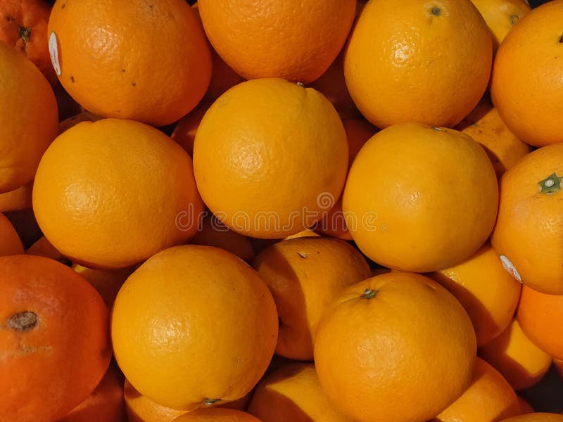 A bunch of fresh orange stock photo. Image of sour, ripe - 209048966