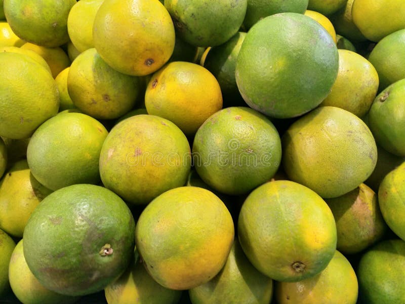 A bunch of fresh oranges stock photo. Image of closeup - 214487064