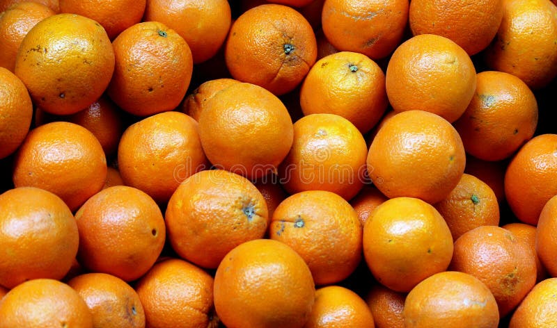 Bunch of fresh oranges stock image. Image of cultivation - 29806489