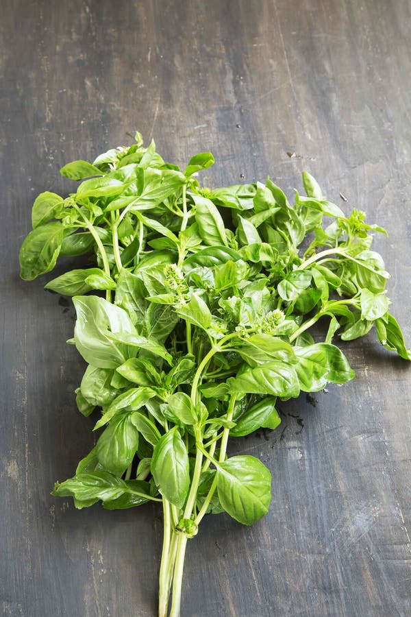 Bunch of Fresh Organic Basil Stock Image - Image of aromatic, wooden ...