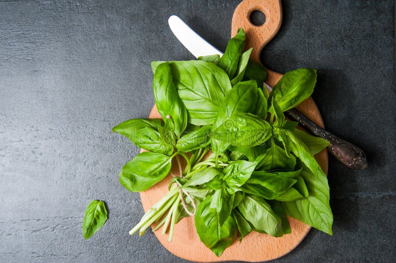 Bunch of Fresh Organic Basil on Cutting Board Stock Photo - Image of ...