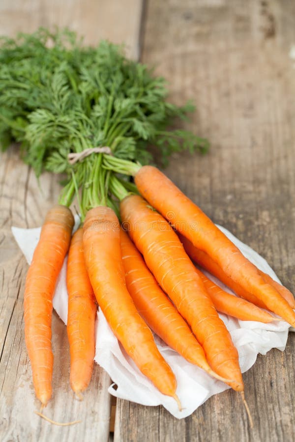 Bunch of Fresh Organic Carrots Stock Photo - Image of harvest, field ...