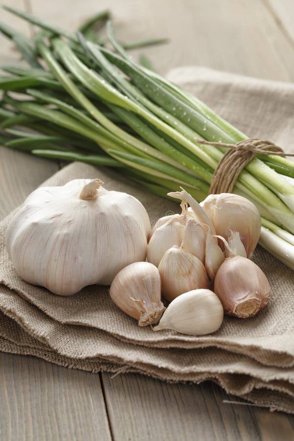 Bunch of Fresh Organic Green Onions and Garlic Stock Image - Image of ...