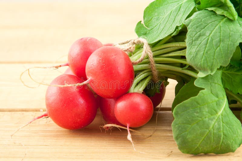 Red Radish Plants with Bunch of Radishes Stock Photo - Image of growing ...