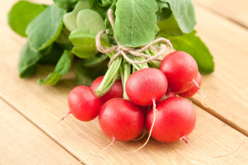 Red Radish Plants with Bunch of Radishes Stock Photo - Image of growing ...