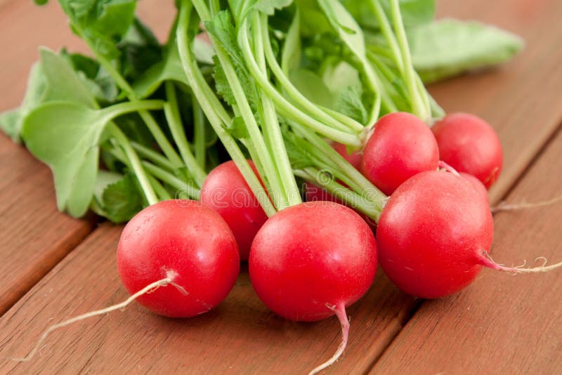Red Radish Plants with Bunch of Radishes Stock Photo - Image of growing ...