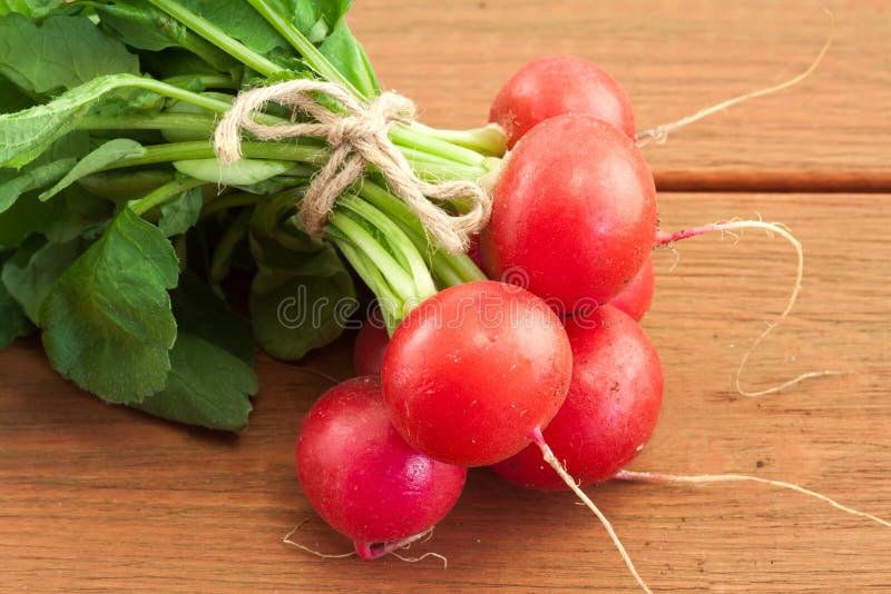 Red Radish Plants with Bunch of Radishes Stock Photo - Image of growing ...