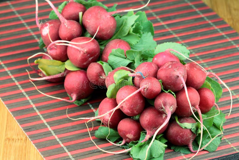 Bunch of fresh radish stock image. Image of nutrition - 14157887