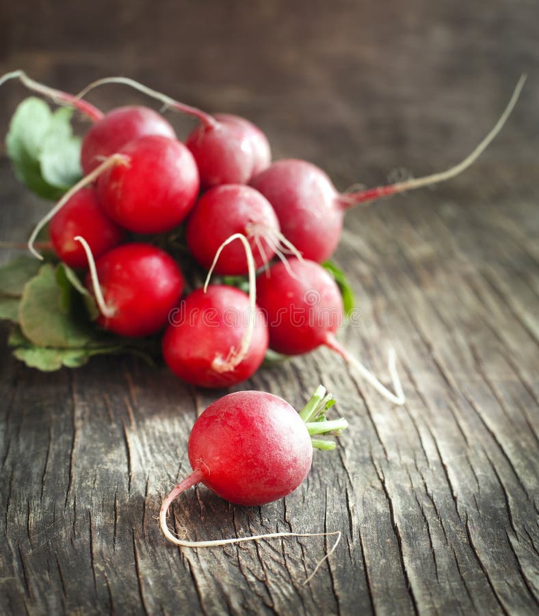 Bunch of fresh radish. stock image. Image of toned, organic - 37833129