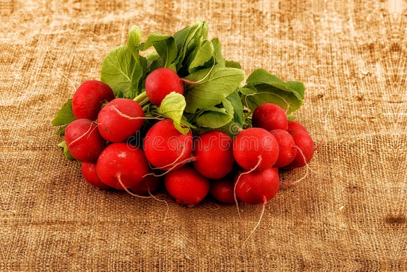 Bunch of fresh radish stock photo. Image of food, simple - 38218838
