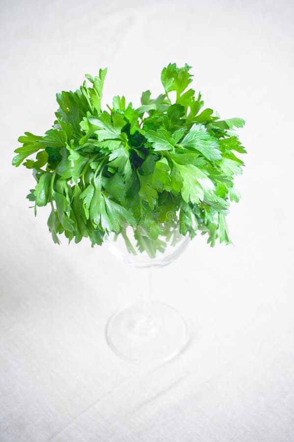 Bunch of Fresh Raw Green Parsley Stock Photo - Image of healthy ...