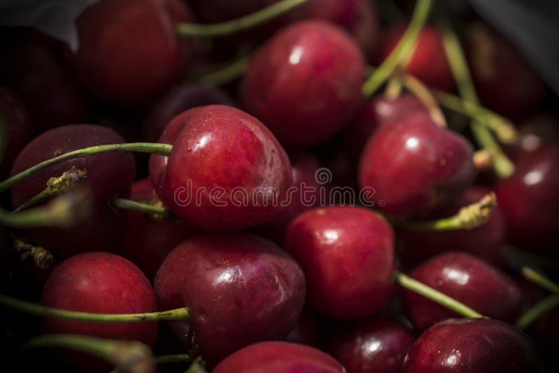Fresh Cherries stock photo. Image of pile, cherries - 119491020