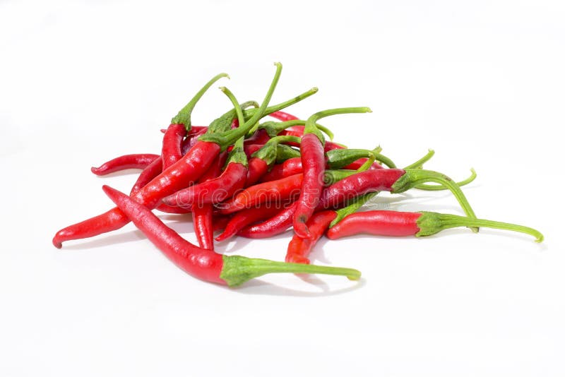 Bunch of fresh red chilli stock photo. Image of chillies - 249439140