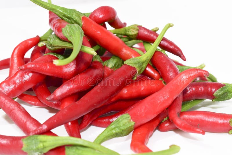 Bunch of fresh red chilli stock image. Image of cook - 249439423