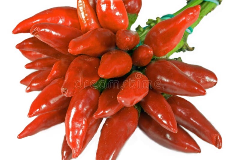 Bunch of Fresh Red Chillies Stock Image - Image of chillies, isolated ...