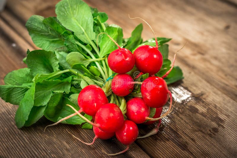 Bunch of Fresh Red Radishes Stock Photo - Image of nature, ingredient ...