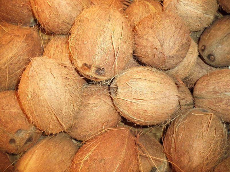 A Bunch of Fresh Ripe Coconuts Stock Photo - Image of coco, coconuts ...