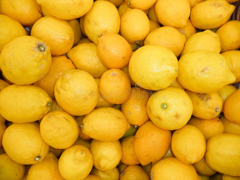 Bunch of fresh ripe lemons stock image. Image of food - 141294527