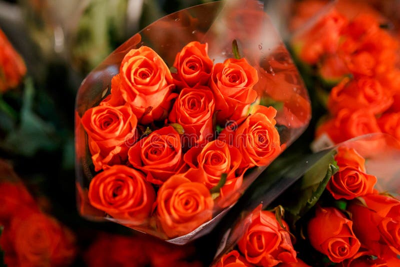 Bunch of Fresh Roses at Flower Shop Stock Photo - Image of bouquet ...
