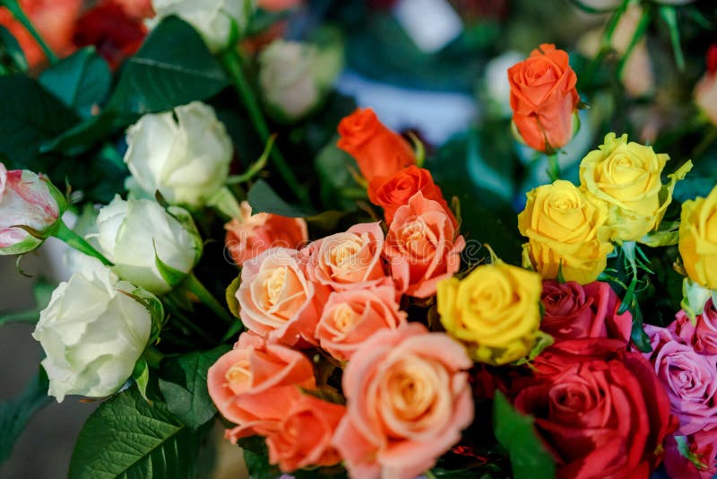 Bunch of Fresh Roses at Flower Shop Stock Photo - Image of business ...