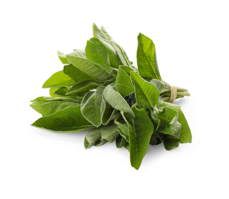 Bunch of Fresh Sage Leaves on White Background Stock Photo - Image of ...