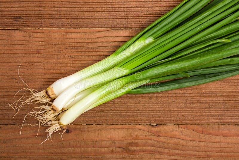 Bunch of Green Onions on White Stock Image - Image of produce, fresh ...