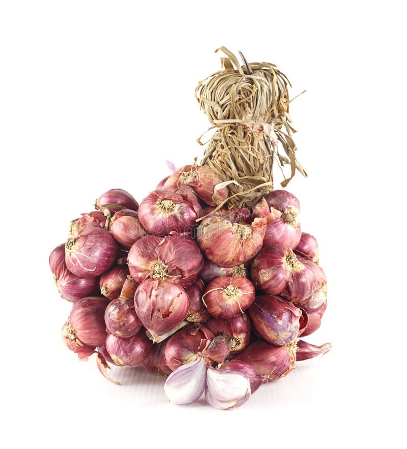 Bunch of Fresh Shallots on White Stock Image - Image of white, organic ...