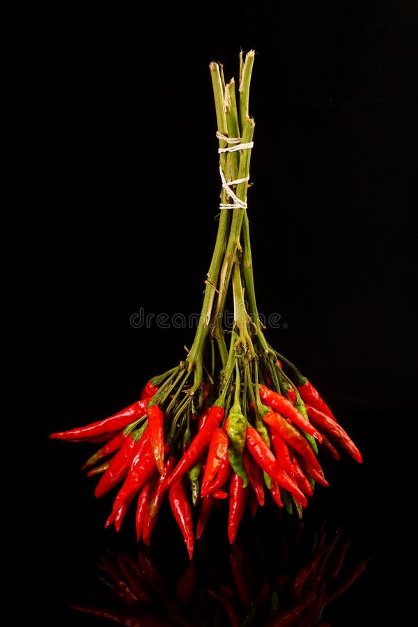 Bunch of Fresh Small Red Pepper Isolated on Black Background Stock ...
