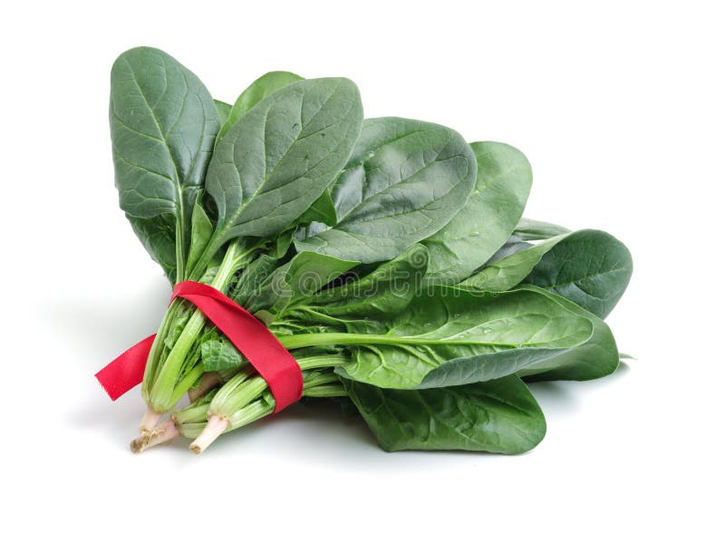 A bunch of fresh spinach stock photo. Image of meal - 115433994