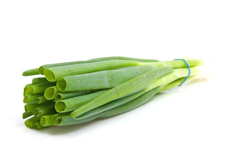 Bunch fresh spring onions stock image. Image of isolated - 13441453
