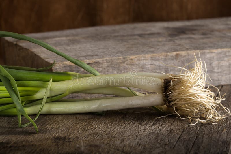 Bunch of Fresh Spring Onions Stock Photo - Image of natural, green ...