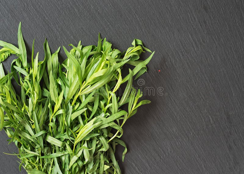 Bunch of Fresh Tarragon Isolated on a Black Stone Background. Top View ...
