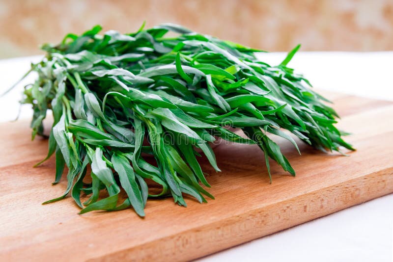 Bunch of fresh tarragon stock image. Image of bunch, scented - 74295013