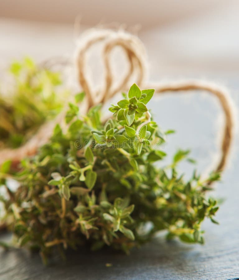 Bunch of fresh thyme stock photo. Image of garden, twine - 62384868