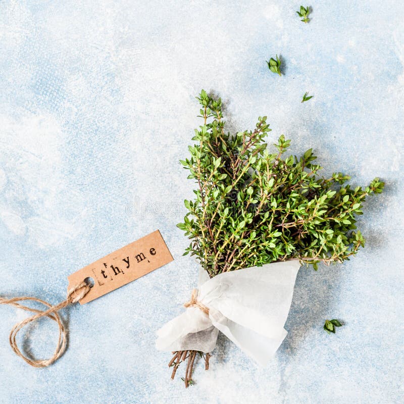 A Bunch of Thyme stock image. Image of culinary, plant - 149358869