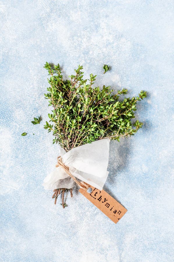 A Bunch of Thyme stock photo. Image of medicine, aromatic - 147600402