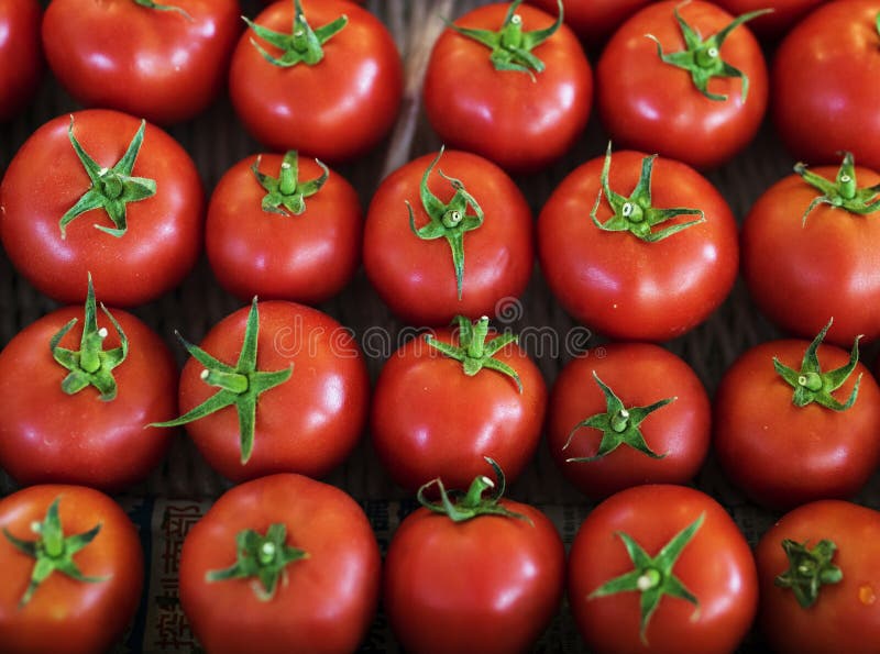 A Bunch of Fresh Tomato Produce Stock Photo - Image of tomato, organic ...