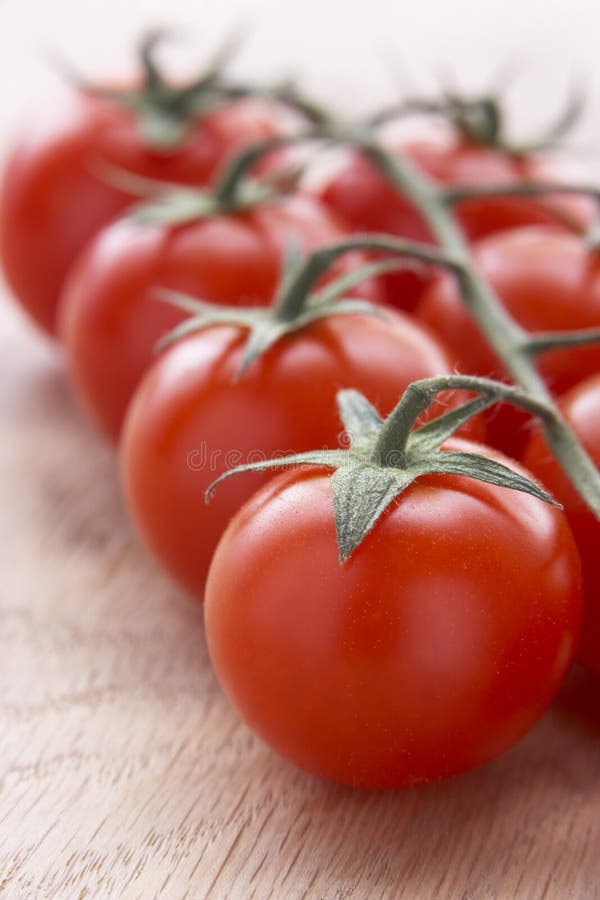 Bunch of Fresh Tomatoes stock photo. Image of color, vine - 8755642