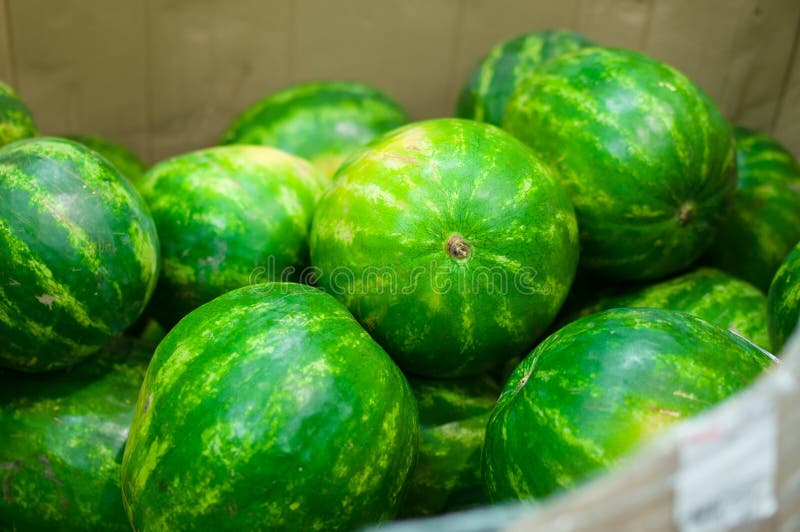 Bunch of Fresh Watermelons in Supermarket Stock Photo - Image of ...
