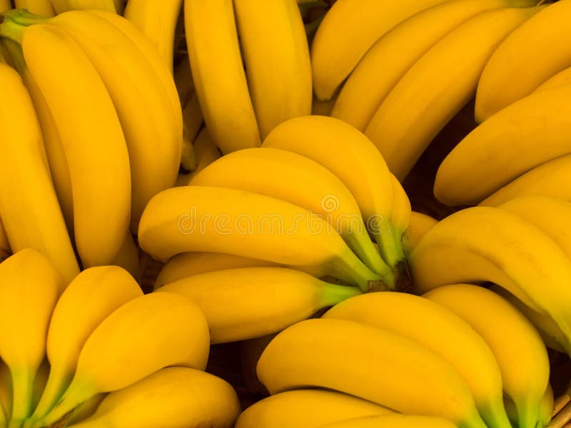 Bunch of Fresh Yellow Bananas Stock Photo - Image of eats, natural ...
