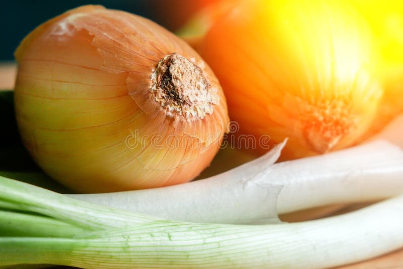 Bunch of Fresh Yellow, Green Onions Young Onions Close-up, Cooking ...